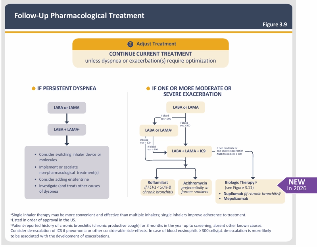 GOLD 2026 Report: Key Updates for COPD Management