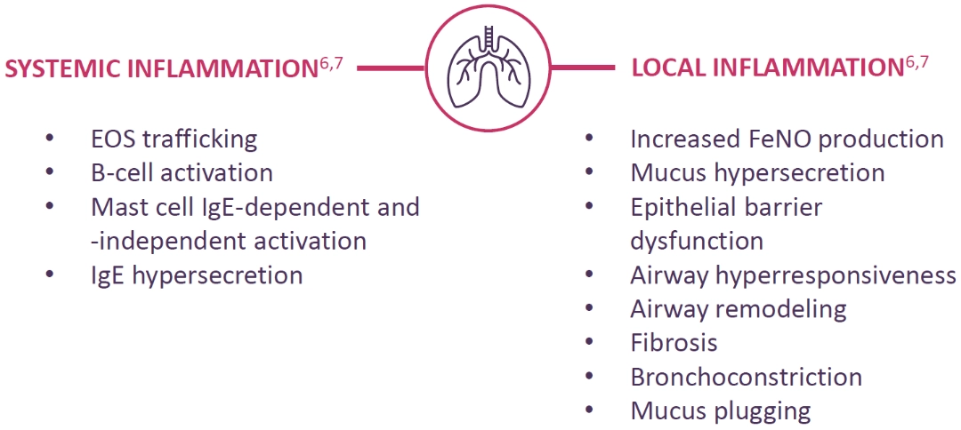 IL-4 and IL-13: the key and central drivers of type 2 inflammation ...
