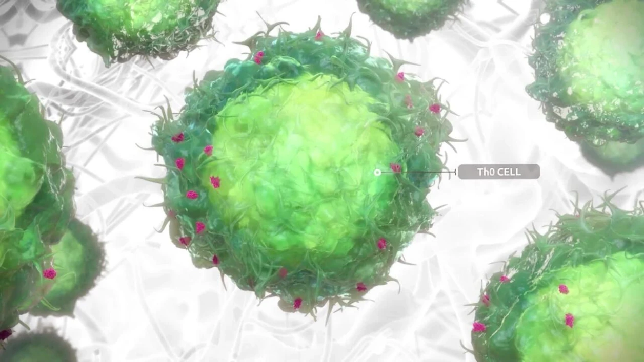 Dupixent® (dupilumab) Mechanism of Action
