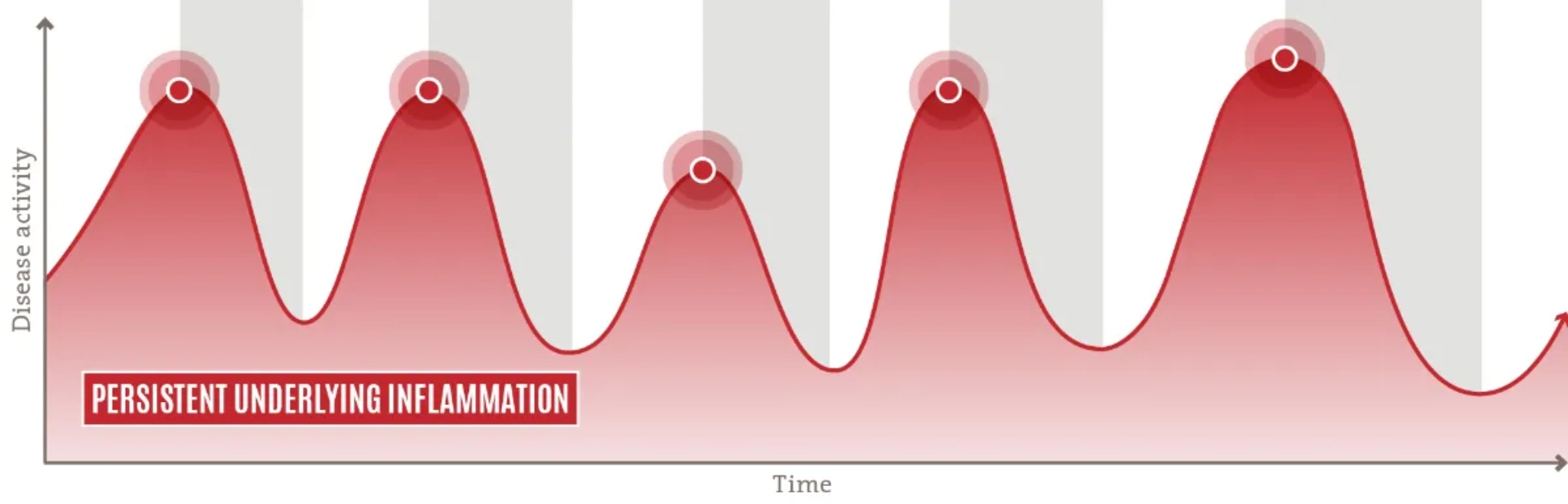 About Type 2 Inflammation – Atopic Dermatitis