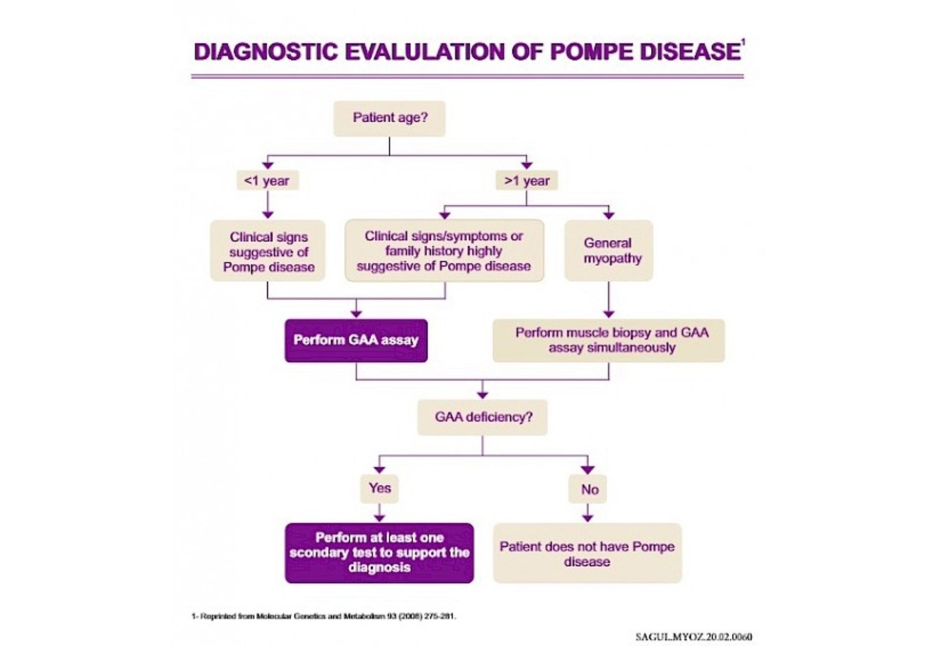 How to diagnose Pompe Disease