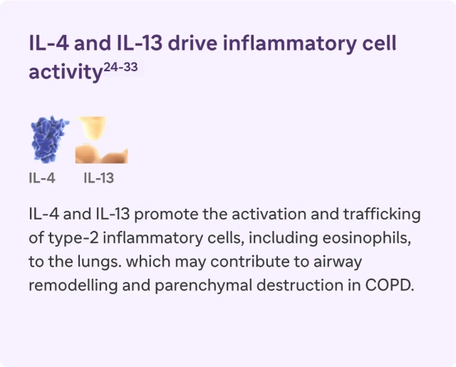 Role of type 2 Inflammation | Sanofi Campus Norge