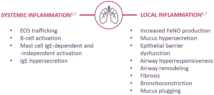 IL-4 and IL-13: the key and central drivers of type 2 inflammation ...